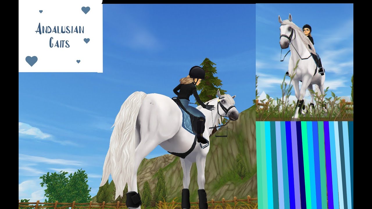 Andalusian Gaits - YouTube