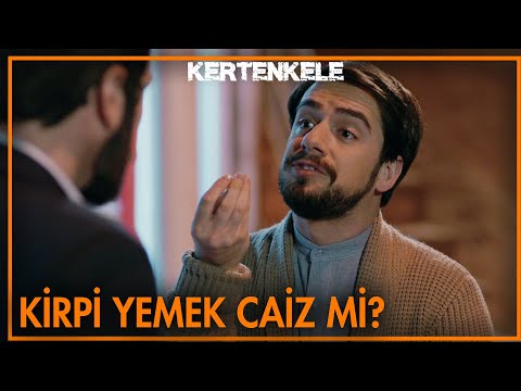 GECE GECE HİCABİ'NİN SORUSU...🦔 - KERTENKELE
