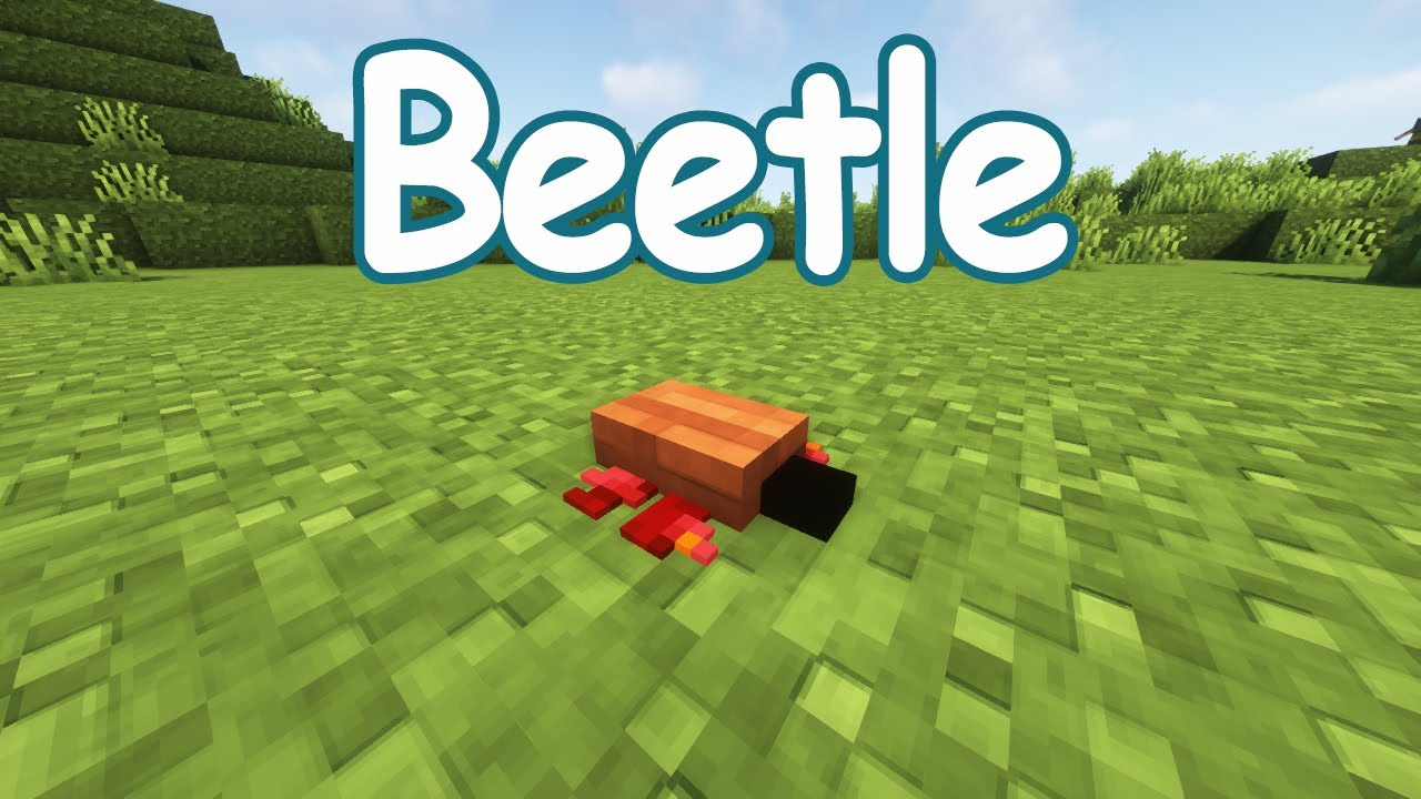 Minecraft: How To Make a Beetle - YouTube