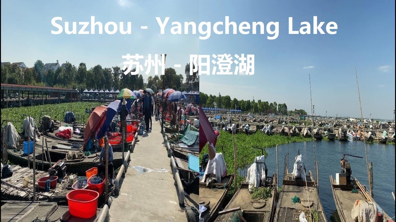 Suzhou Yangcheng Lake Tour 4K｜Lake Viewing Platform｜Jingyang Chenghu ...
