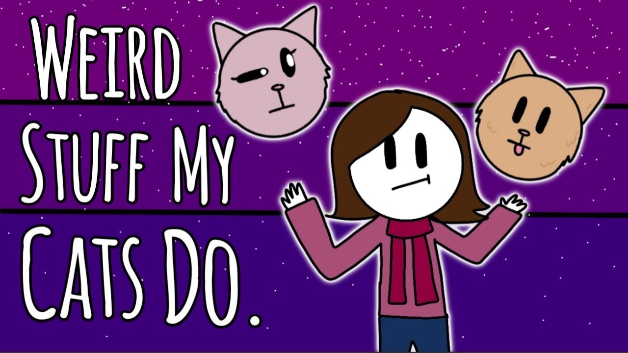 Weird Things My Cats Do. - YouTube