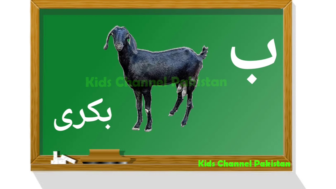 Alif Sy Anar Learning Song || Alif By Ty Learning|Kids Channel Pakistan ...