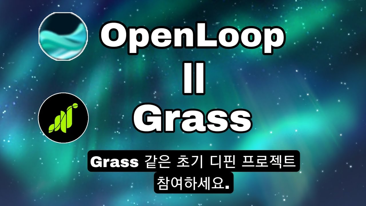 OpenLoop = Grass와 같은 초기 디핀 프로젝트 - YouTube