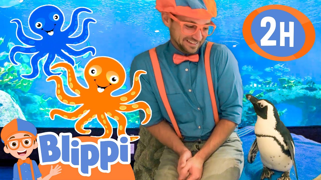 Blippi Feeds Sea Creatures at the Aquarium | BEST OF BLIPPI TOYS ...
