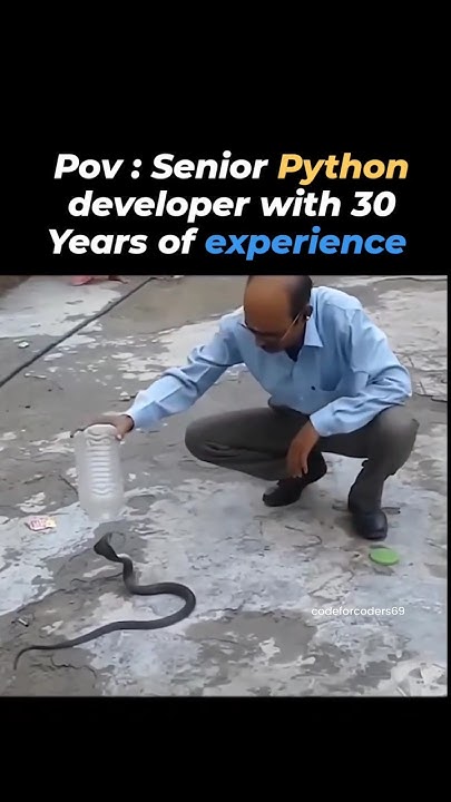 90 Day Coding Challenge A Muslim S Journey Day 36 Viral Shorts Python Pythonprogramming