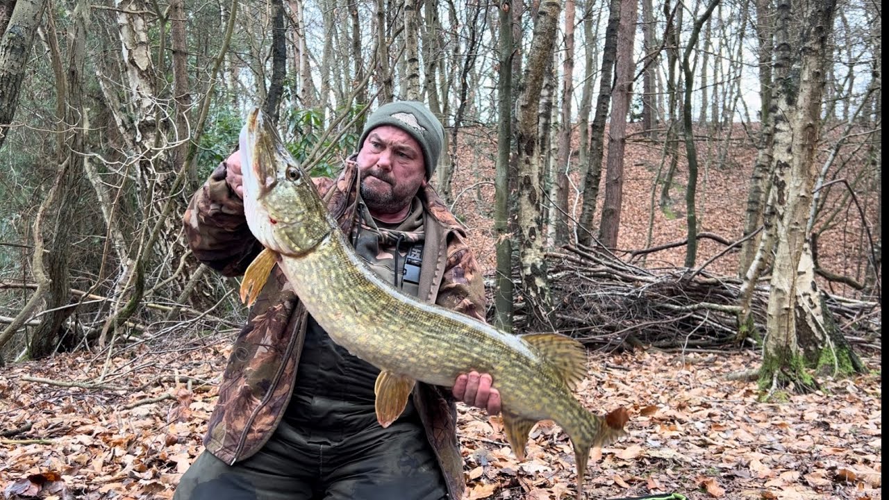 Pike fishing at night. 48hrs on a Cheshire mere dead baiting - YouTube