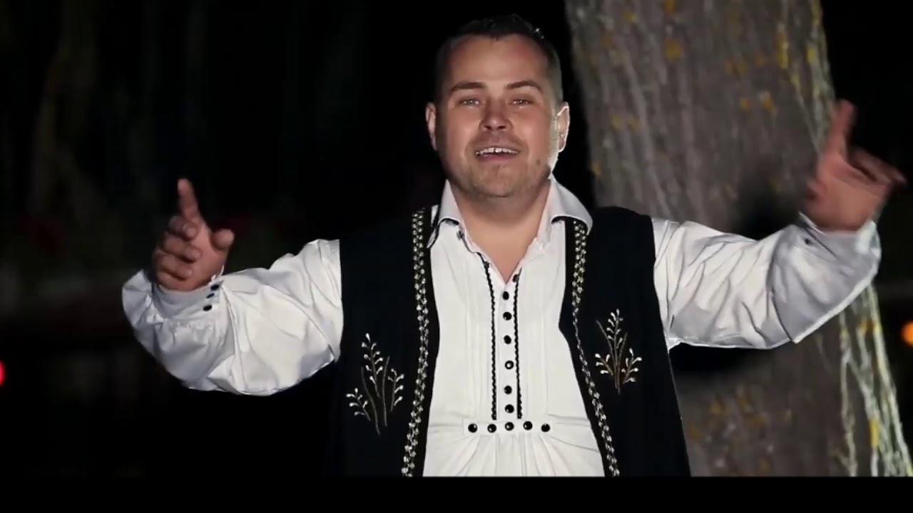 Dan Lazar Polca BIhoreana LIVE (cover) - YouTube