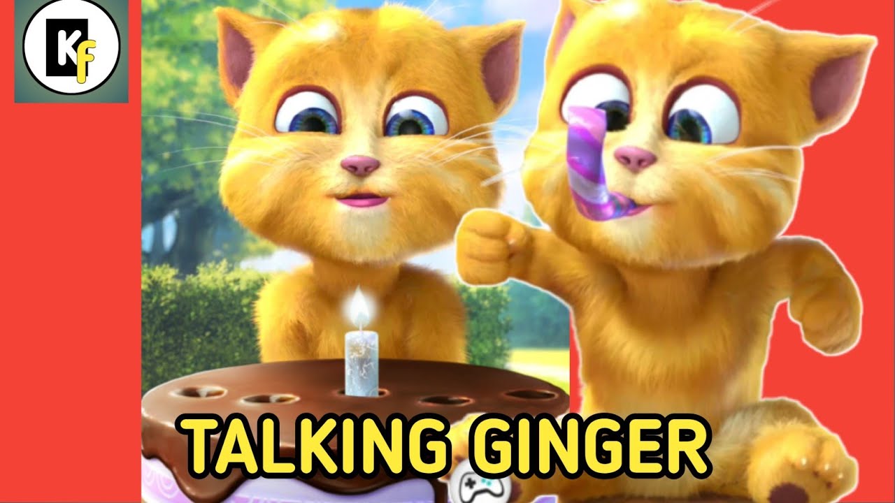 Talking Ginger🐈🐈🐈🐈 - YouTube