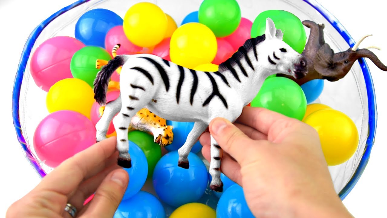 Fun Zoo Animals For Kids - Learn Animal Names In A Ball Pit! - YouTube