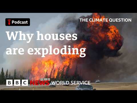 Fire clouds and fire tornadoes: The new world of fire - The Climate Question, BBC World Service