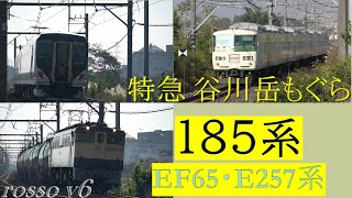 「185系 特急 谷川岳もぐら 運転」に関する動画 - 鉄道コム