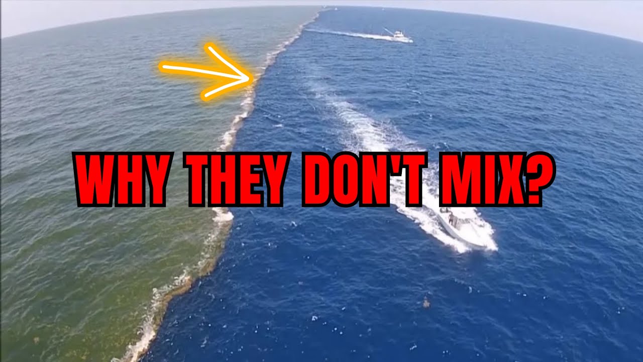 Why the Atlantic and Pacific Meet, But Never Mix #atlanticocean # ...