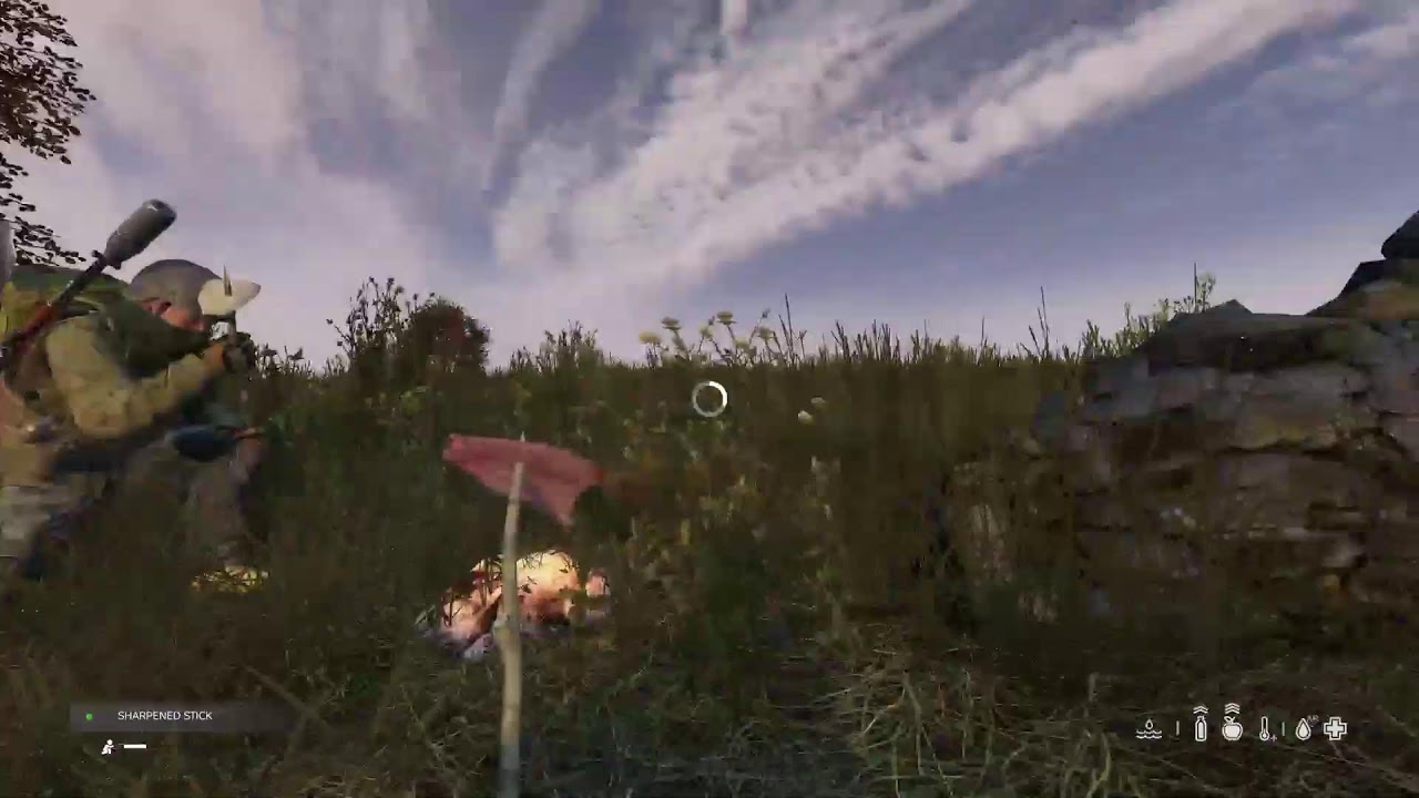 100+ Hours Player | Dayz - YouTube