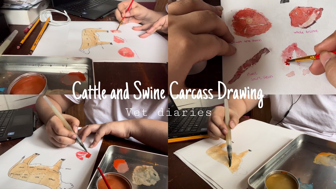 Let us draw! | Calm music | No subtitles | Painting 🍃 - YouTube