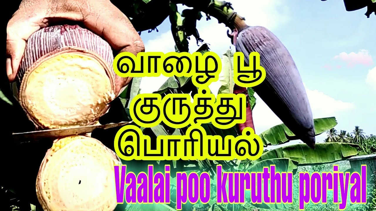 வாழைப்பூ குருத்து சமையல் செய்முறை | how to make banana flower cooking ...