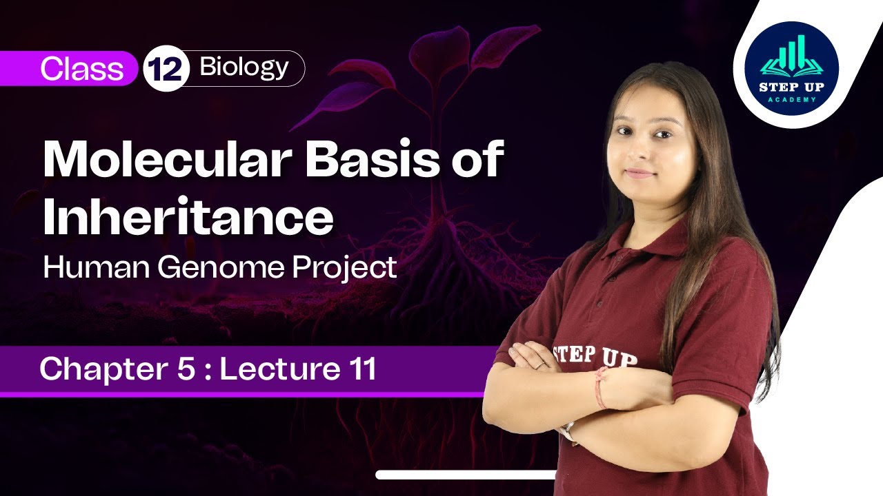 Human Genome Project - Molecular Basis of Inheritance | Chapter 5 (L11 ...