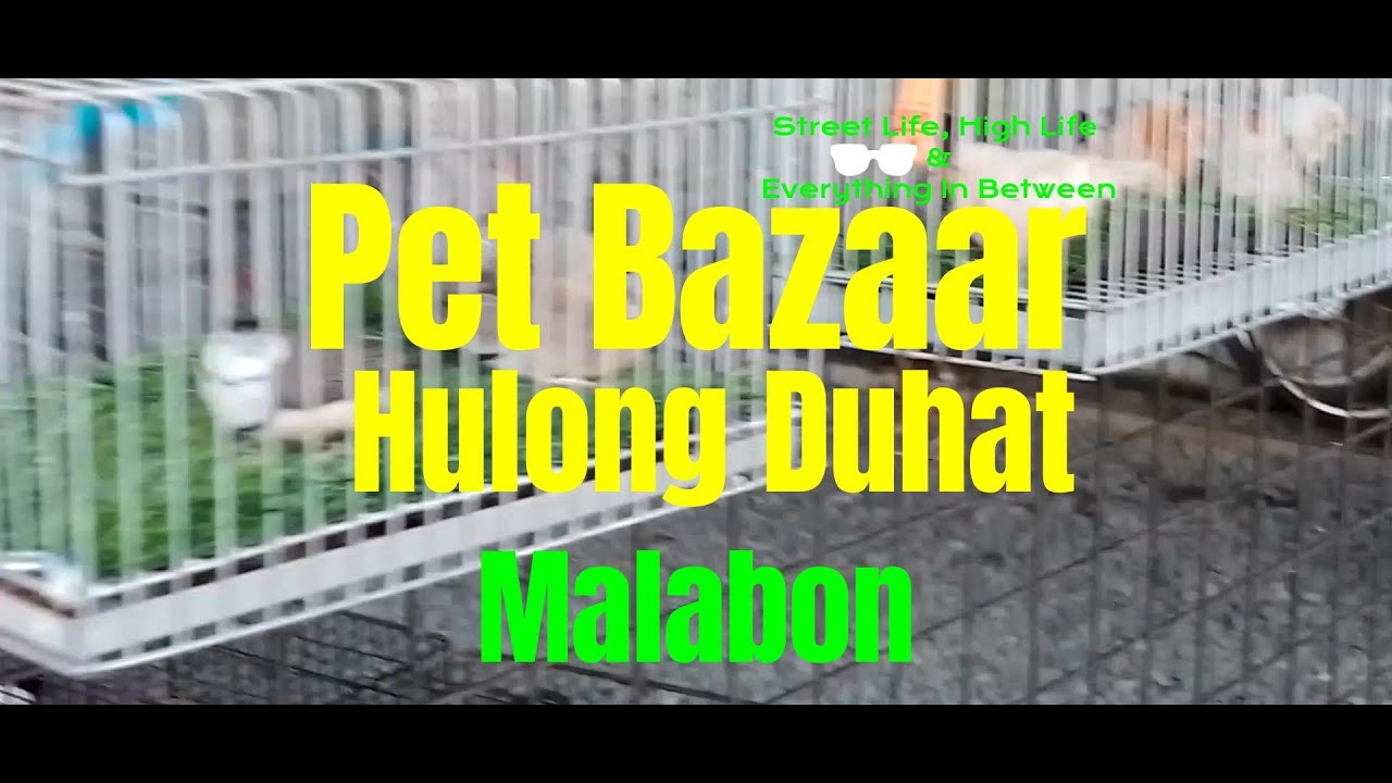 Pet Bazaar/Market Flores Hulong Duhat - WALKING TOUR MALABON PH - YouTube