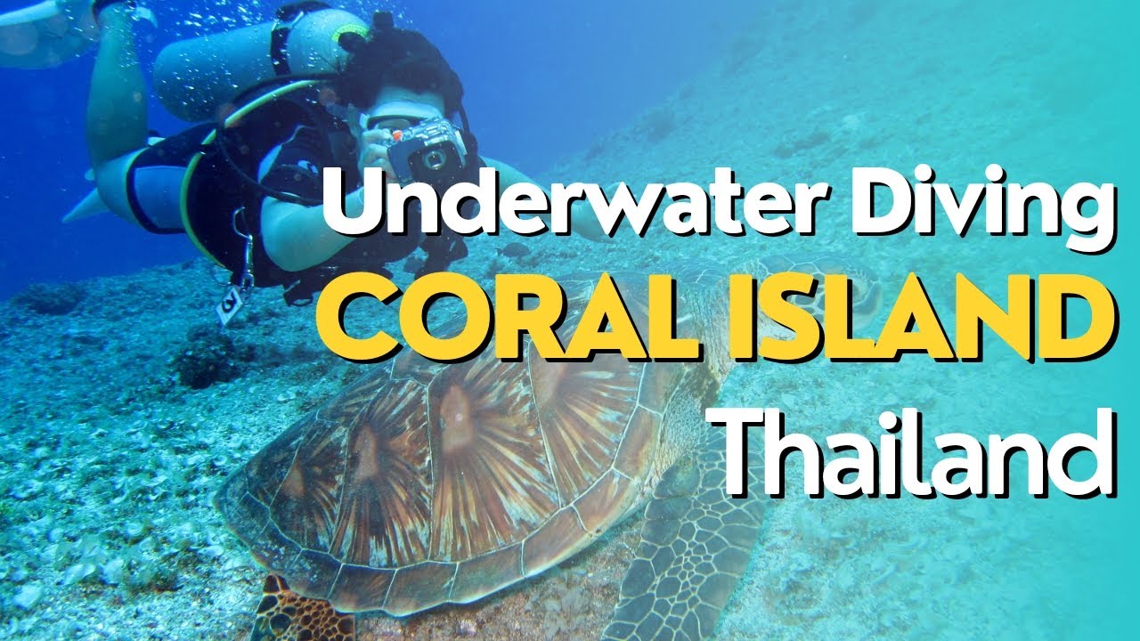 Underwater diving at coral island Thailand - YouTube