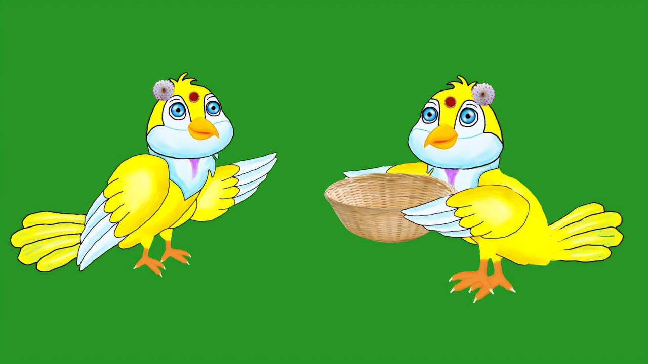 new character yellow tuni chidiya green screen/ green screen cartoon ...