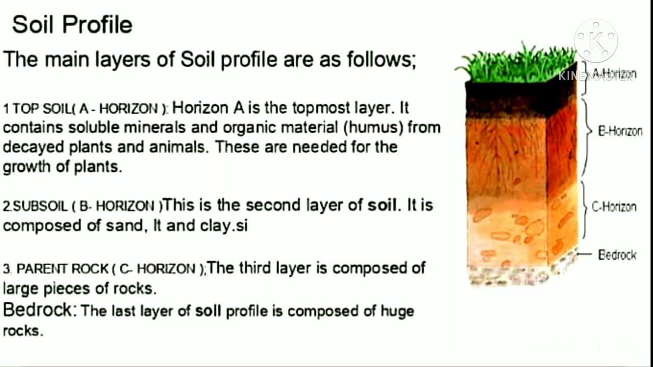 Soil Profile cbse class 7 - YouTube