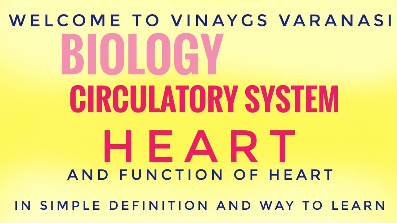 CIRCULATORY SYSTEM :- HEART ncert biology concept in simple definition ...