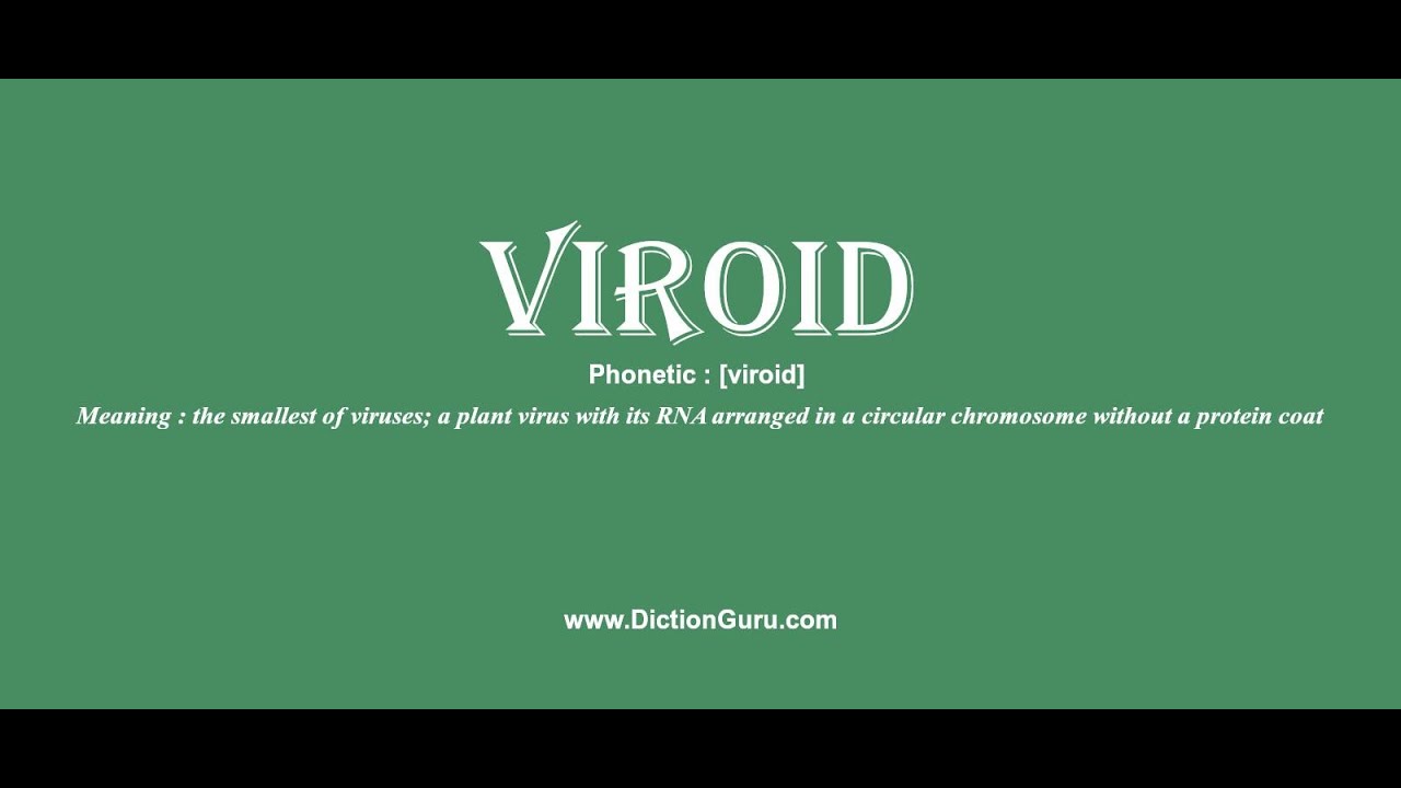 viroid: Pronounce viroid with Meaning, Phonetic, Synonyms and Sentence ...