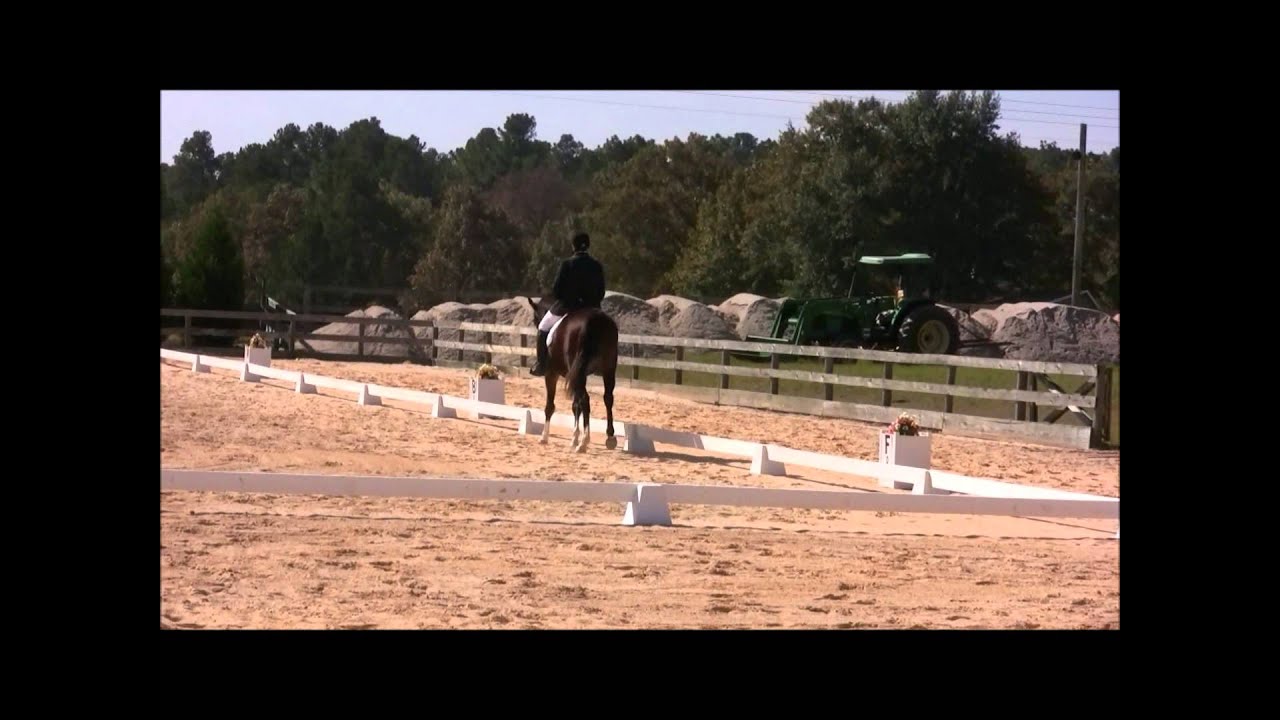 Rivendel & Lynn Coates-Holmes - YouTube