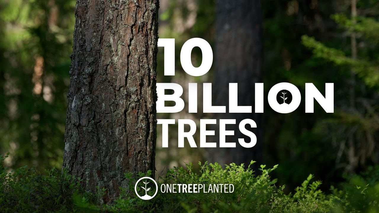 A Major Milestone for British Columbia | One Tree Planted - YouTube