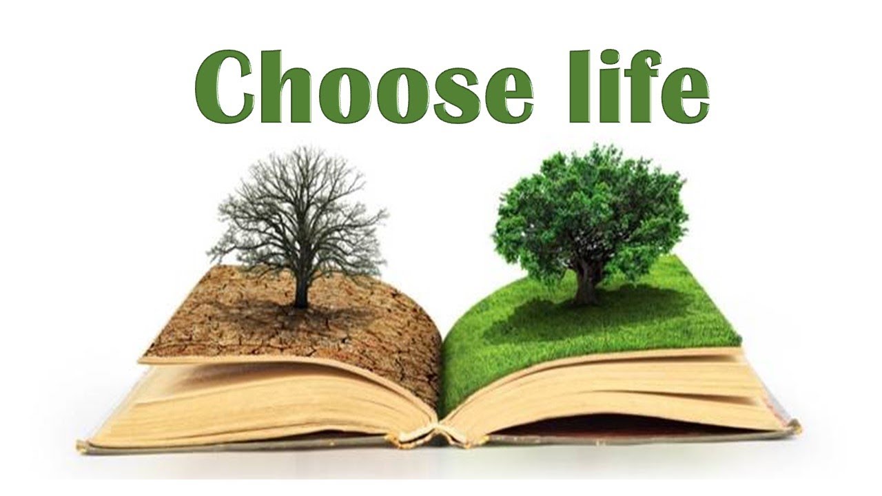 CHOOSE LIFE|LIEZEL DHLAMINI - YouTube