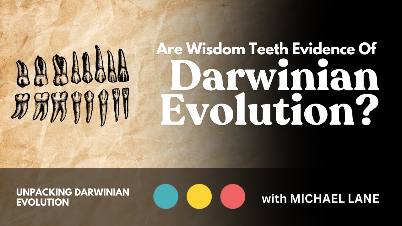 Are Wisdom Teeth Evidence of Darwinian Evolution? | Unpacking Darwinian ...