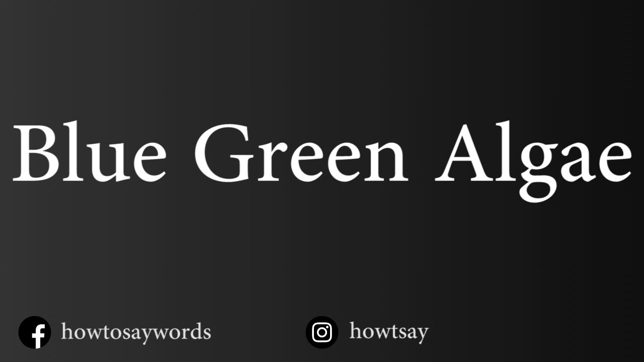 How To Pronounce Blue Green Algae - YouTube