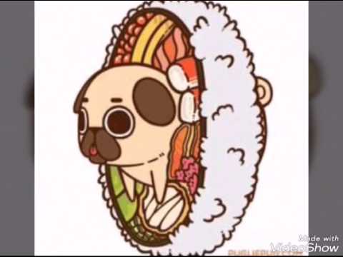 Pug kawaii - YouTube