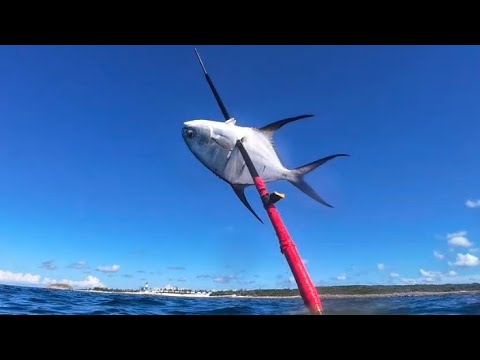 PANA WITH KUMPARES | POMPANO | JACK FISH | GROUPER | SCHOOLMASTER ...