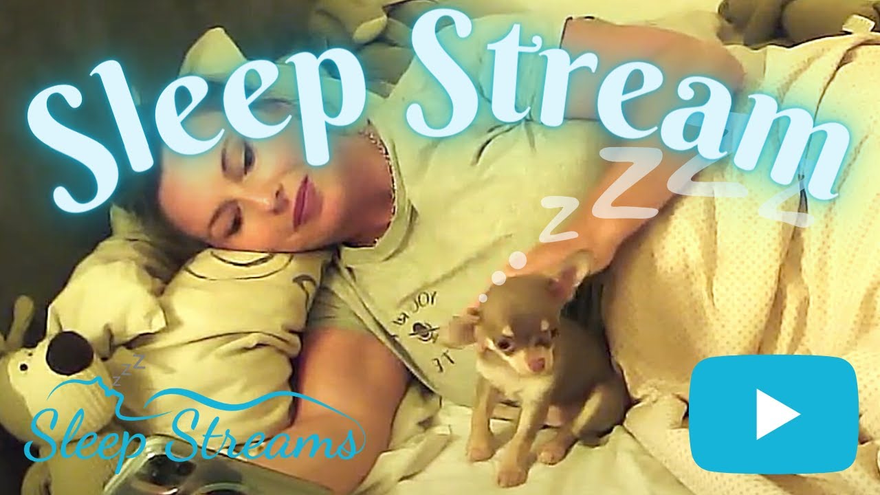 live Sleep Stream with Snoring ASMR with Puppy - YouTube