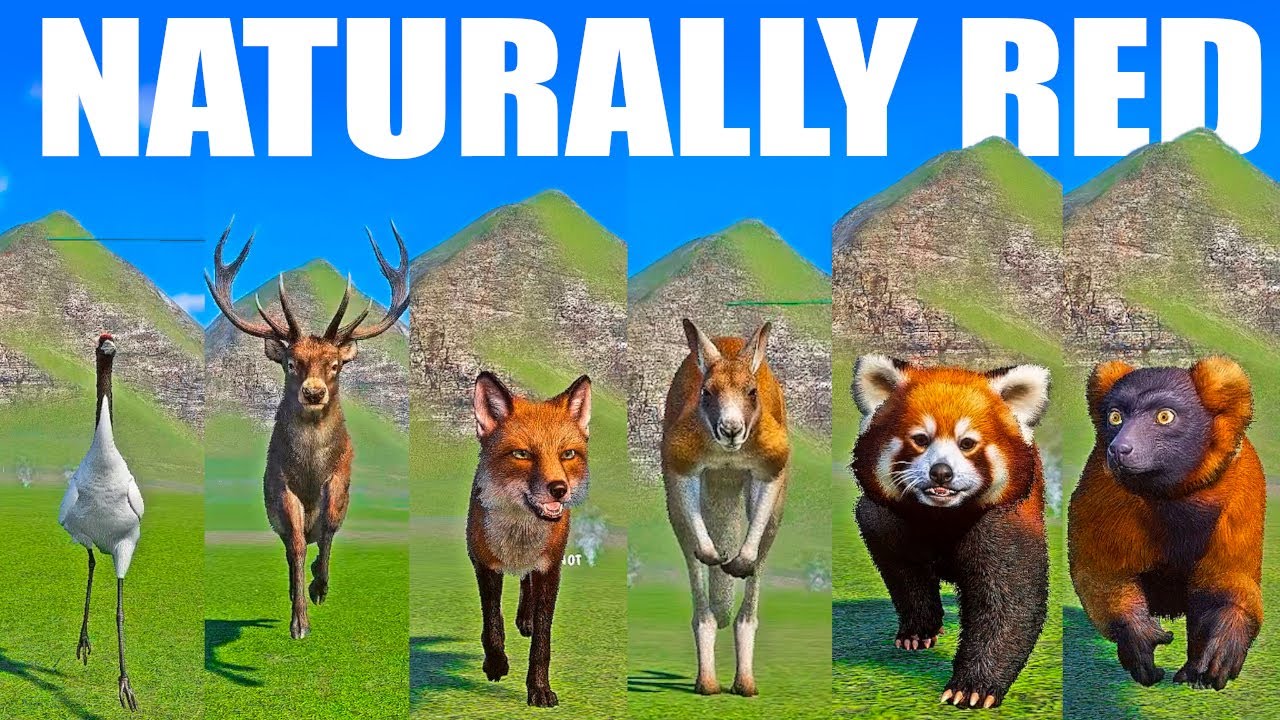 Naturally Red Coloured Animals Speed Races in Planet Zoo included Red ...