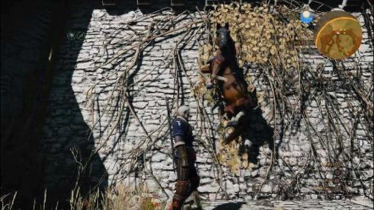 The Witcher 3 glitches xD - YouTube