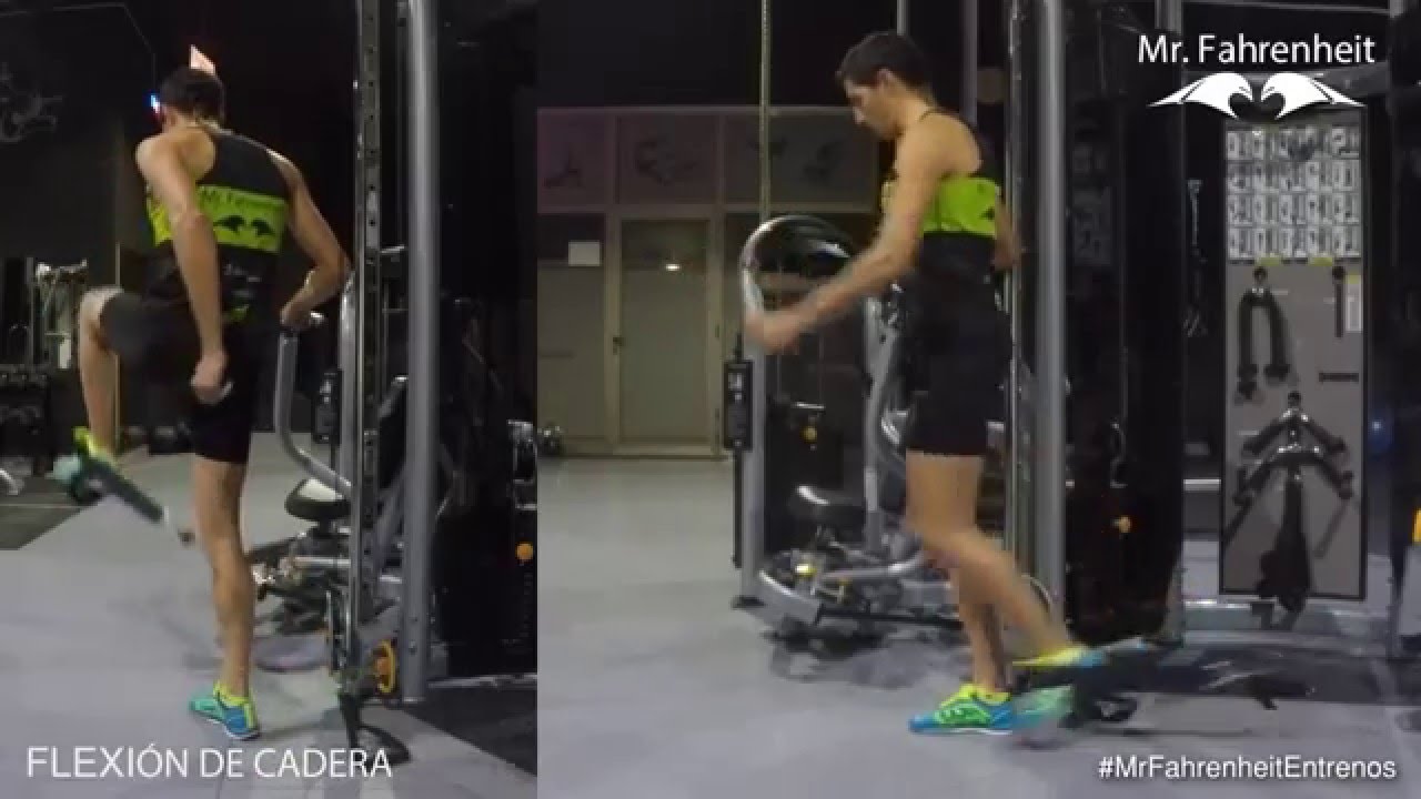 Flexion Y Extension De Cadera Youtube