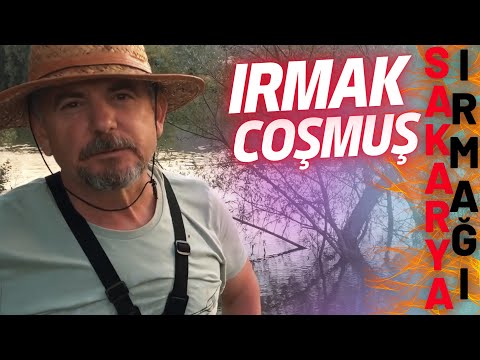 SAKARYA IRMAĞI COŞMUŞ!!  SAKARYA IRMAĞINDA KEFALKEPENEZ AVI    River chub hunt