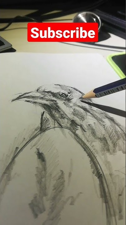 how to draw crows - YouTube