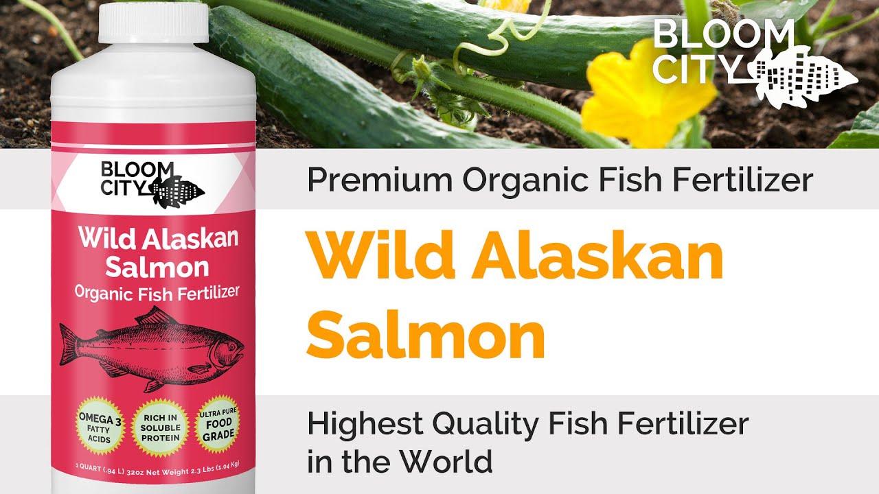 Bloom City | Organic Wild Alaskan Salmon | Premium Fish Fertilizer ...