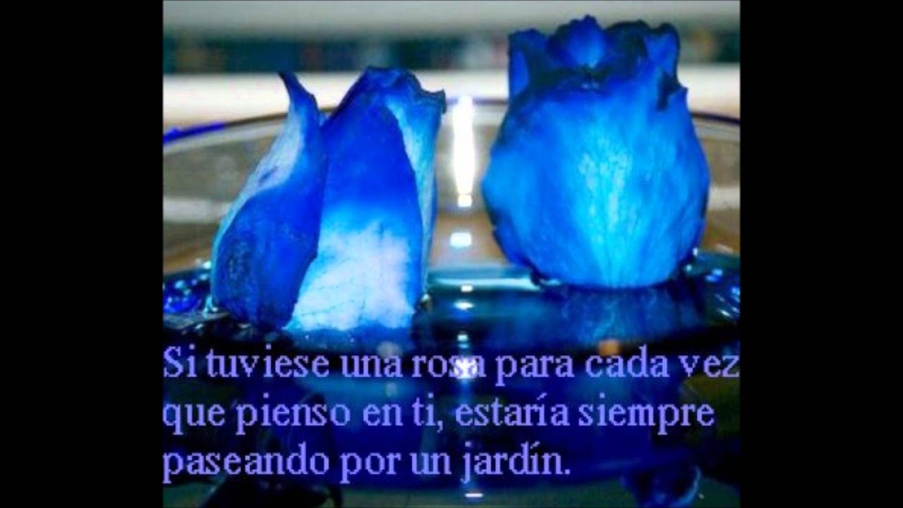 Quiero decirte que te AMO. laura pausini - YouTube