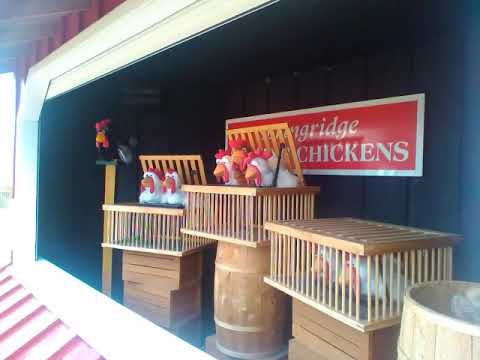 Corny Chicken Jokes At Springridge Farm - YouTube