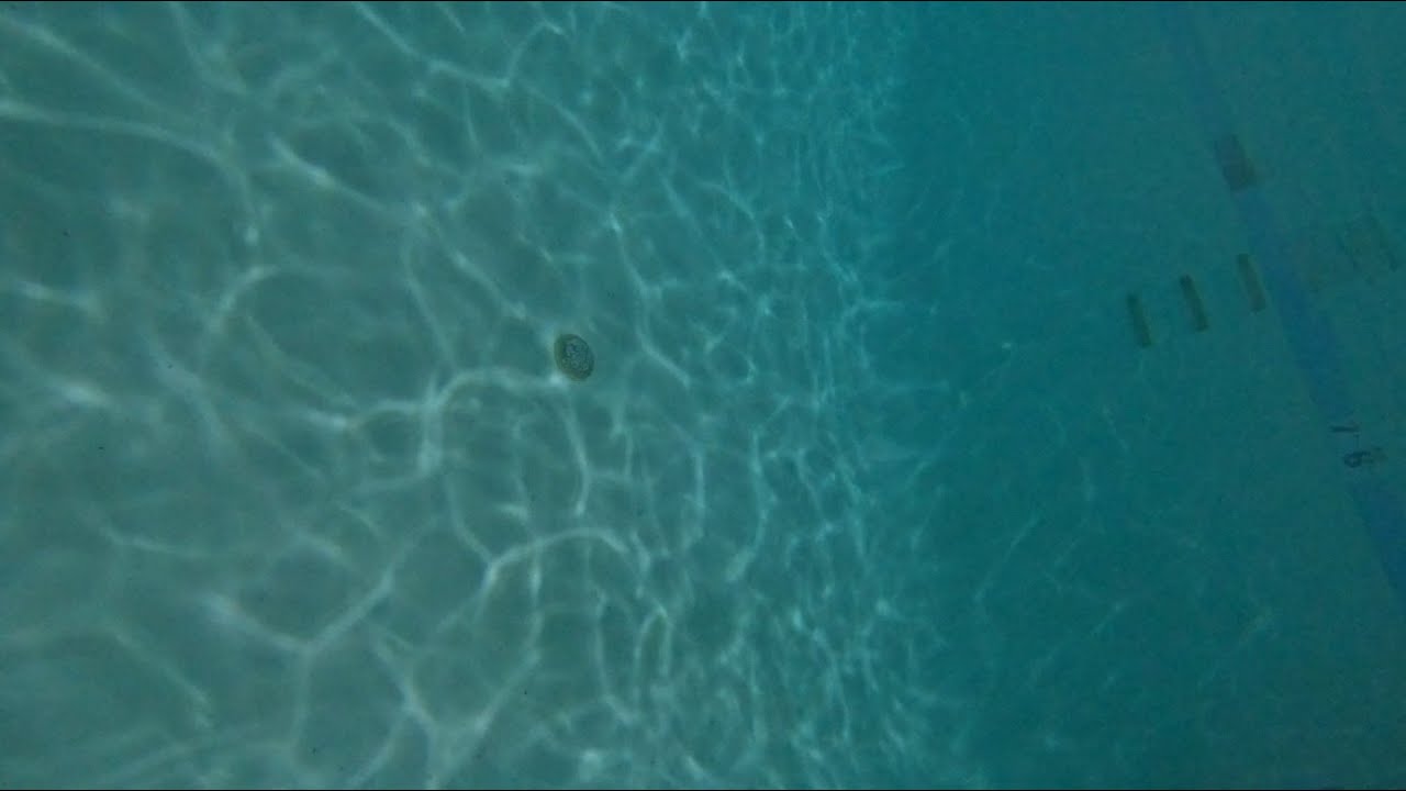 Underwater Pool Swim With New GoPro!!!!! - YouTube