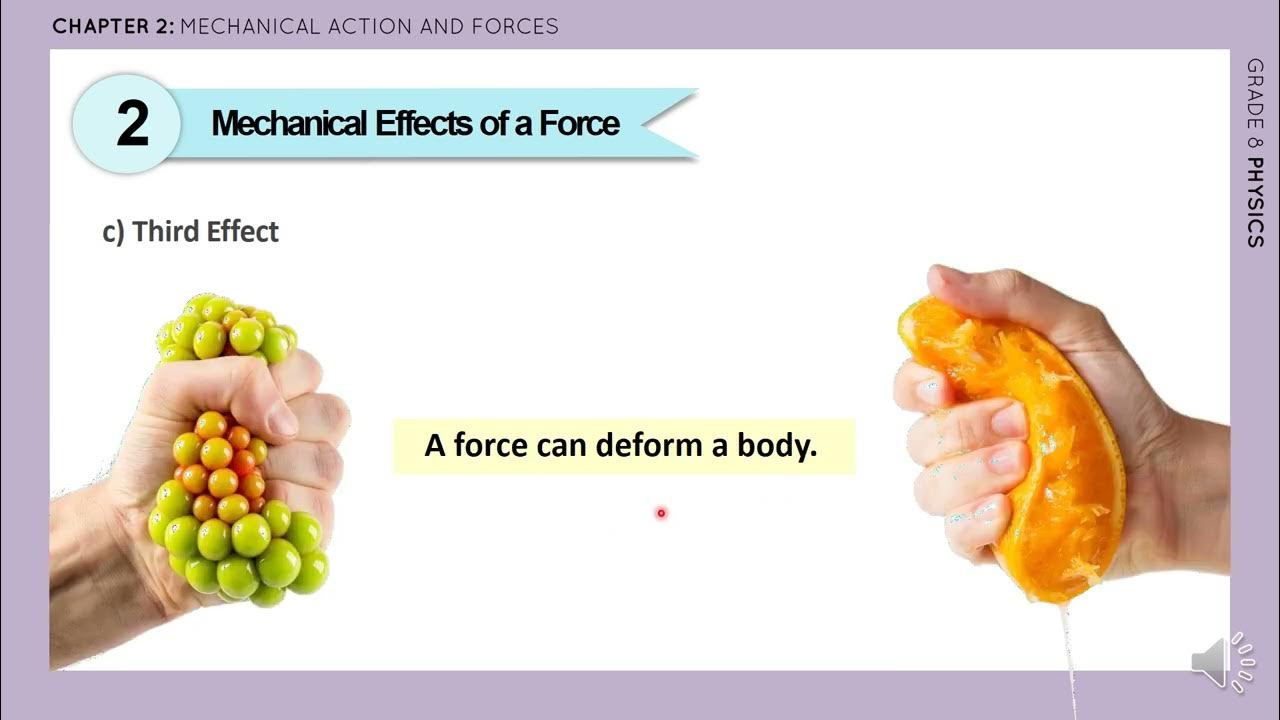 Lecture 3a -Mechanical Actions & Forces Summary - YouTube