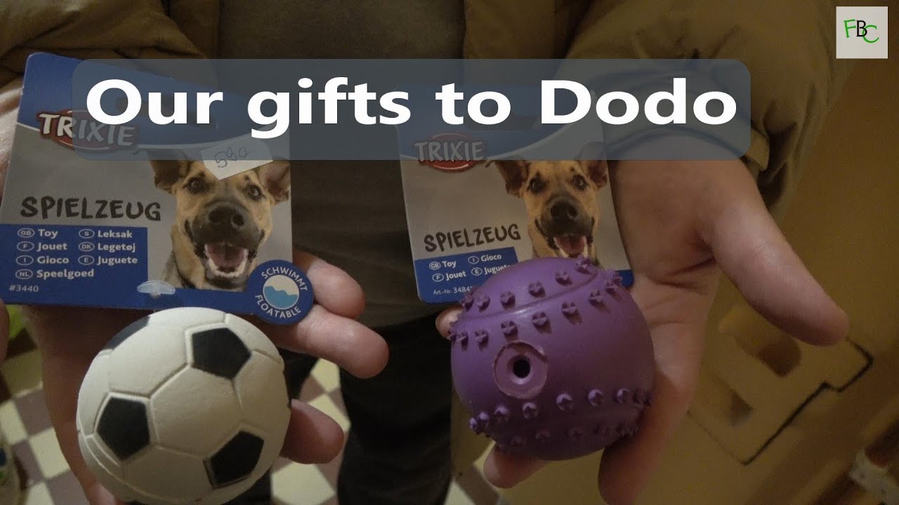 Our gifts to Dodo and his priceless reactions I FusionBuff Chronicles ...