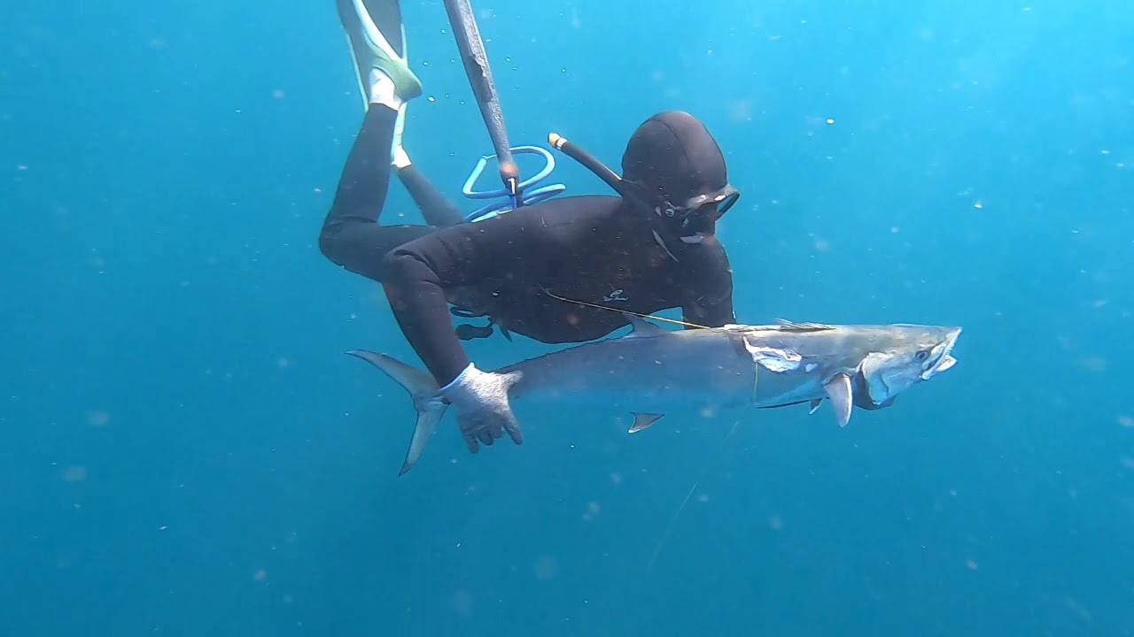 North Coast spearfishing, South Africa - YouTube