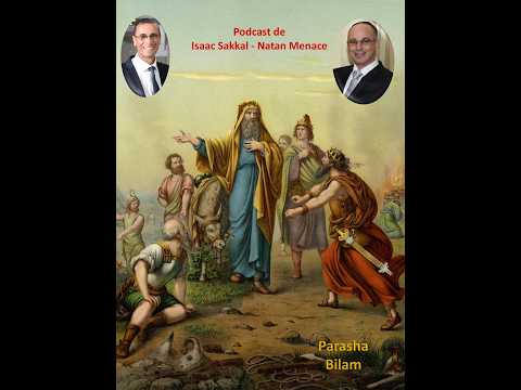Dialogo de sordos