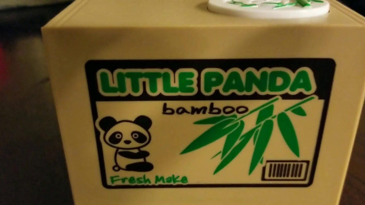 Little Panda Bamboo Box Coin Bank - YouTube