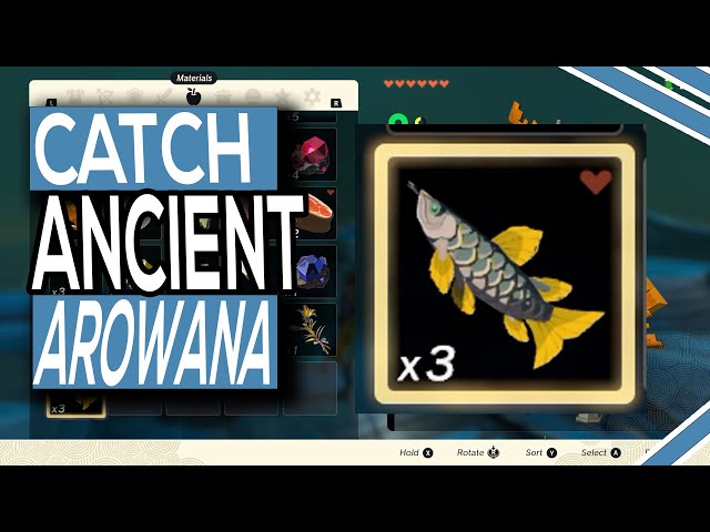 Zelda Fish Salt Grilled Fish Zelda Dungeon Wiki, A The Legend Of