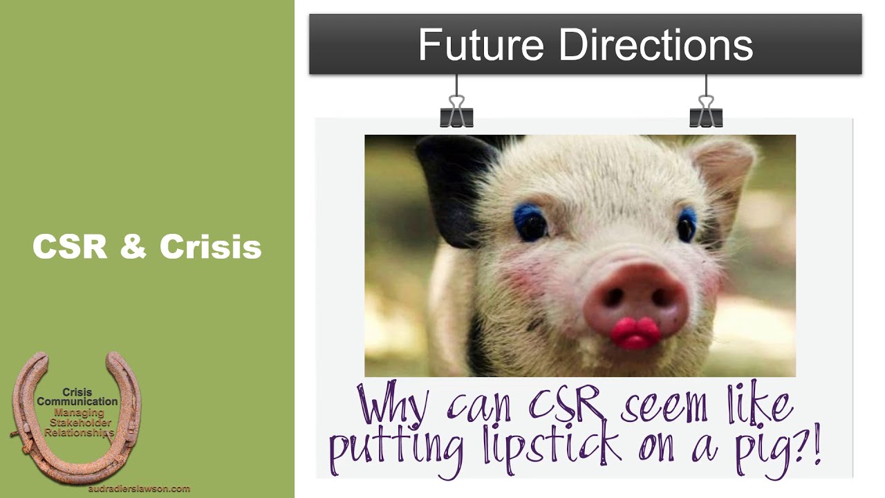 14-3 CSR: Lipstick On A Pig - YouTube